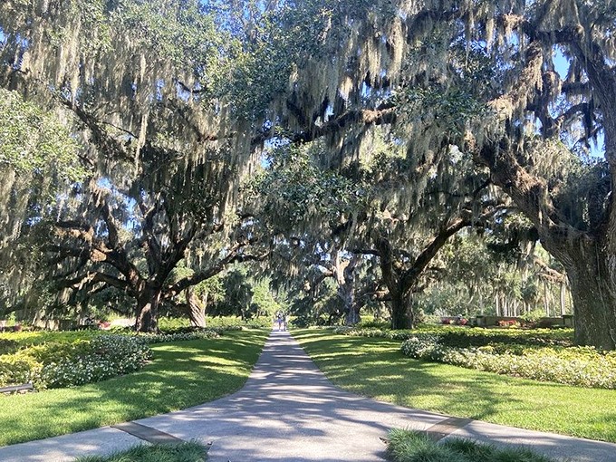 The Live Oak All&eacute;e stretches toward infinity, creating a green tunnel that's been Instagram-worthy since long before Instagram existed.