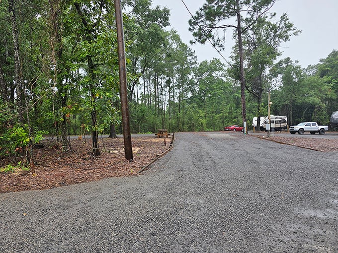 This peaceful camping spot offers what luxury resorts can't&mdash;genuine quiet and stars that don't need to be rated on a five-point scale.