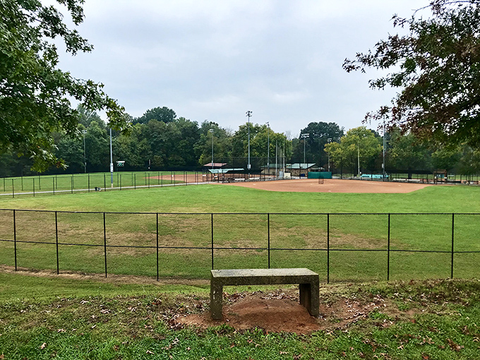 Lorino Park's baseball fields echo with community spirit, where weekend games bring together families and friends for America's favorite pastime.