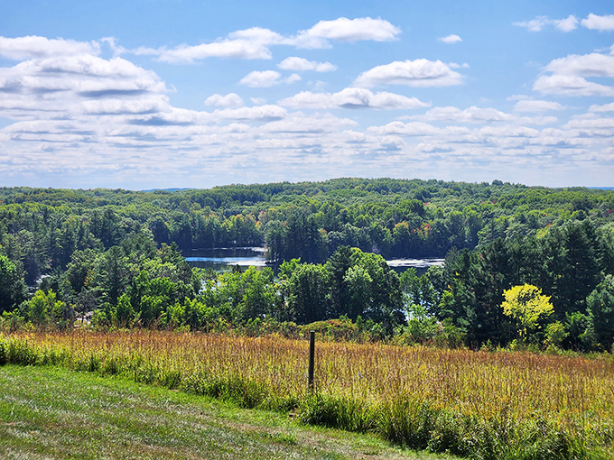 A patchwork quilt of Wisconsin landscapes &ndash; forest, field, and water all in one breathtaking vista. Cloud shadows dance across the terrain like nature's spotlight.