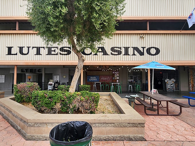 Don't let the name fool you&mdash;Lutes Casino isn't about gambling, but winning at lunch. This historic eatery serves up Yuma's famous "Especial" sandwich in quirky surroundings.