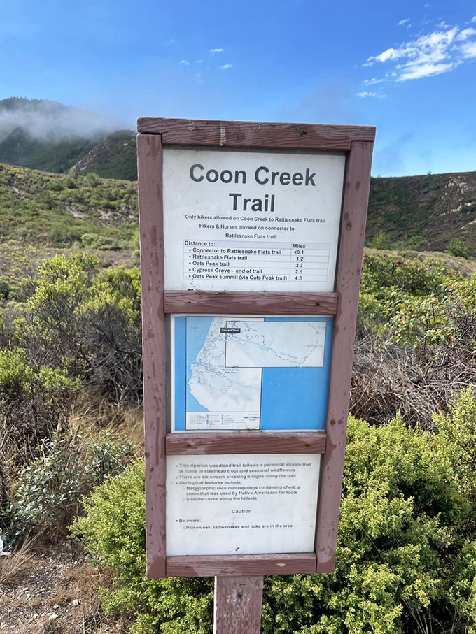 Trail maps: where adventure meets the comfort of knowing you probably won't get lost. Coon Creek Trail promises wilderness with training wheels.