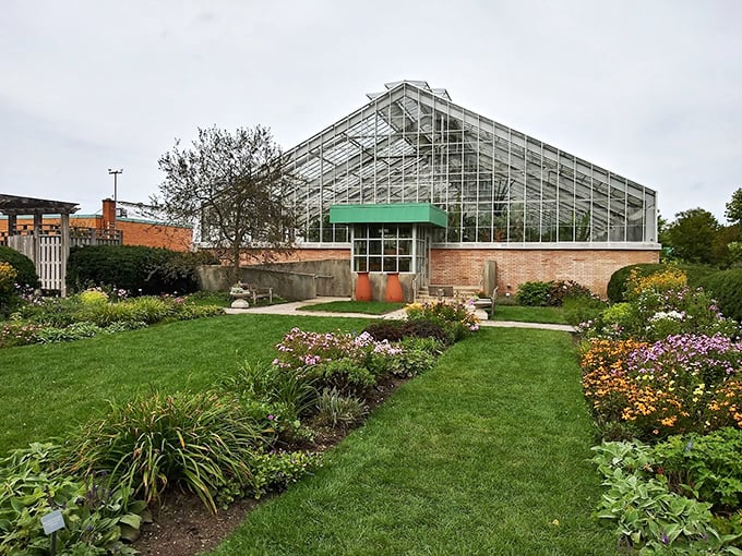 The Matthaei Botanical Gardens greenhouse creates a tropical escape where winter disappears behind walls of glass and greenery. 