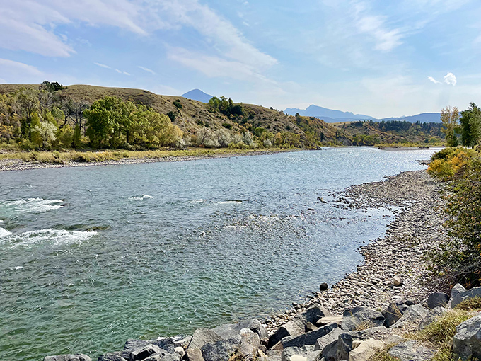The Yellowstone River flows past Livingston like a liquid highway, carrying trout, kayakers, and the whispered promises of outdoor adventure.