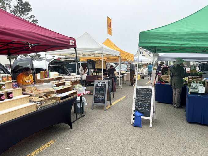 The Mendocino Farmers Market transforms a parking lot into a foodie paradise where "locally sourced" isn't a marketing term &ndash; it's simply how things are done.