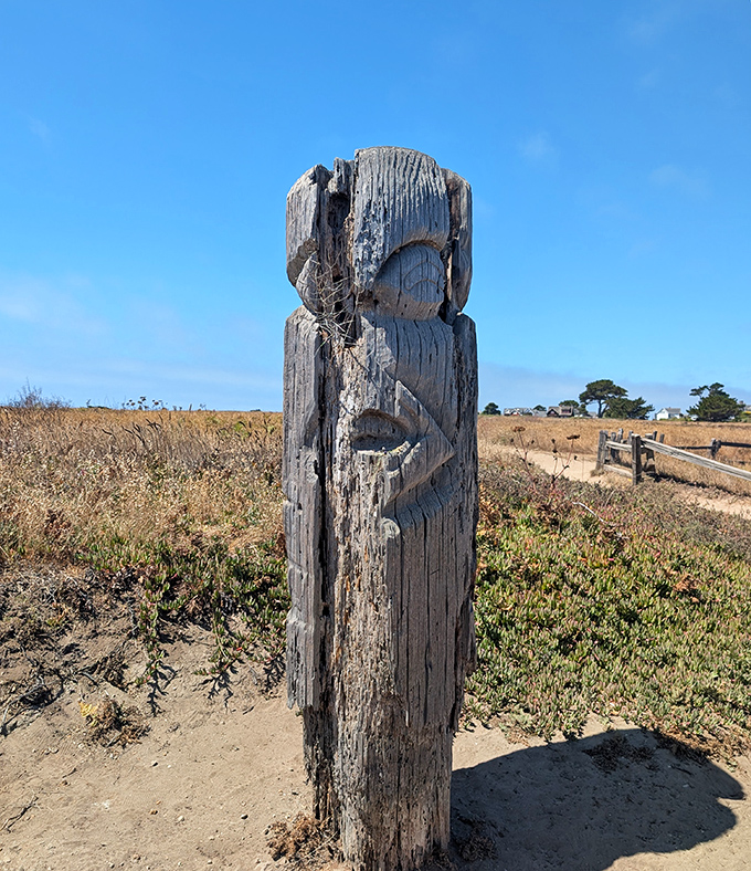 This weathered totem stands as a silent sentinel on the headlands, watching over the Pacific like it's seen a thing or two.