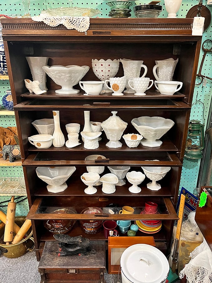 Milk glass collection that would make any grandmother swoon. These delicate pieces survived decades of Sunday dinners to find their way here.