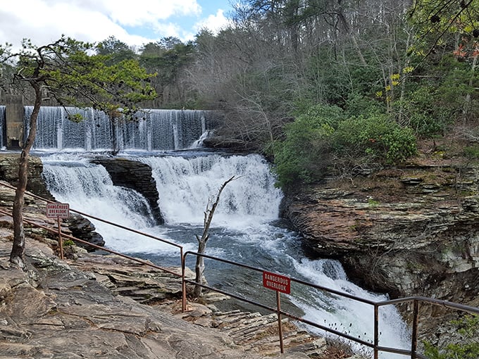Little River Falls cascades with hypnotic power, a multi-tiered natural wonder that's worth every step to reach it. Nature's version of a spa day awaits.