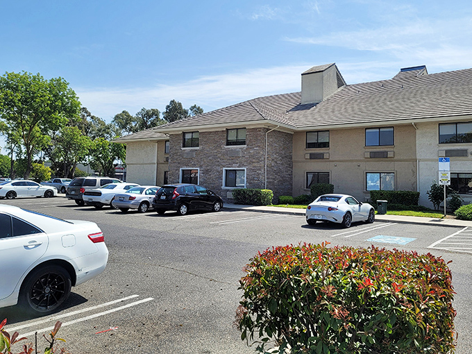 Affordable accommodations in Modesto mean your visitors can stay nearby without you surrendering your guest room or your sanity.
