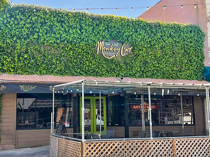 Monkey Cat Restaurant's ivy-covered facade promises quirky charm and probably a story behind that wonderfully bizarre name.