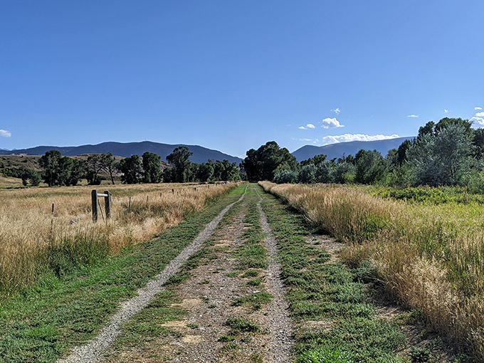 These country roads take you home to places John Denver would have added another verse about. Montana's version of meditation.
