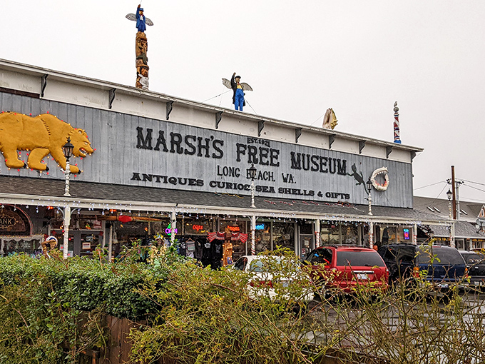Marsh's Free Museum, home to Jake the Alligator Man, offers another slice of delightful oddity just minutes from the World's Largest Frying Pan.
