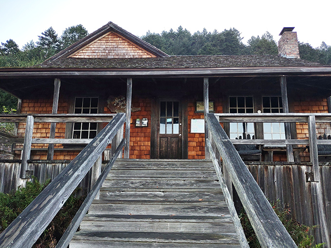 Historic Needle Rock Visitor Center stands as your gateway to wilderness adventures that Instagram can't properly capture.