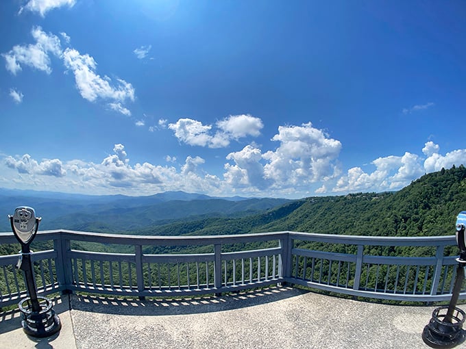 The observation deck offers panoramic views for those who prefer guardrails with their vistas. Nature's IMAX with no ticket required.