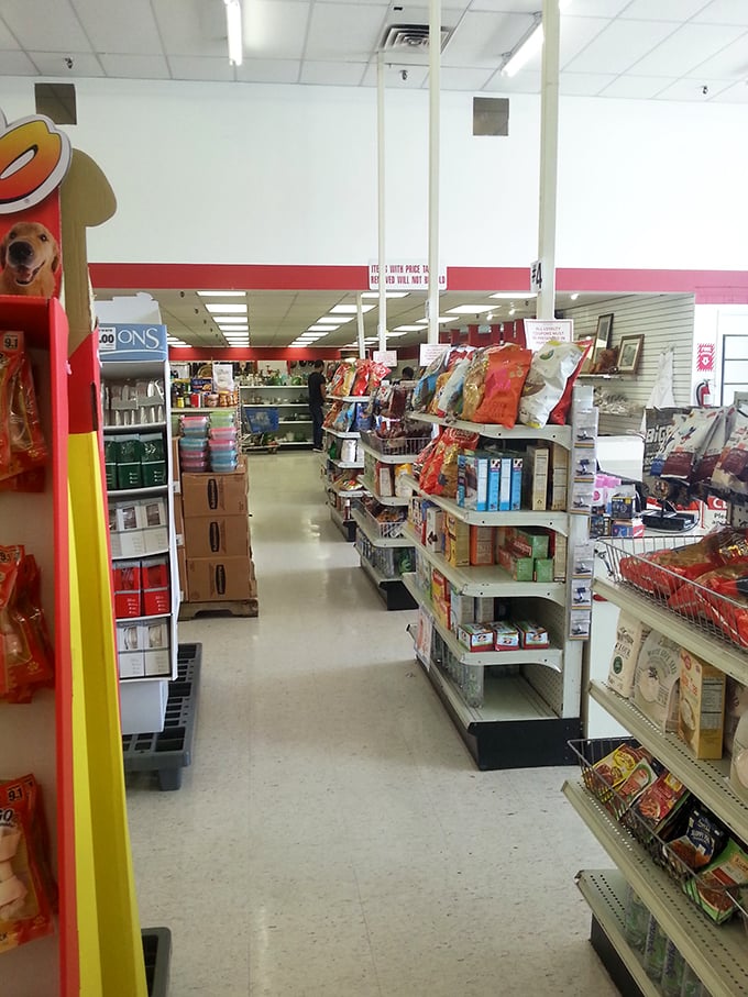 Aisles packed with everyday essentials and unexpected surprises&mdash;the thrifter's version of "you never know what you'll find."