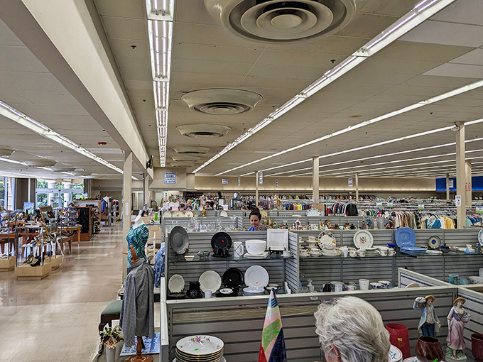 The expansive interior reveals the true scale of this treasure trove. What looks like a standard storefront from outside unfolds into an Aladdin's cave within.