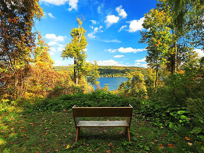 This lakeside bench offers the best seat in the house for nature's fall color show&mdash;no tickets required, standing ovations encouraged.