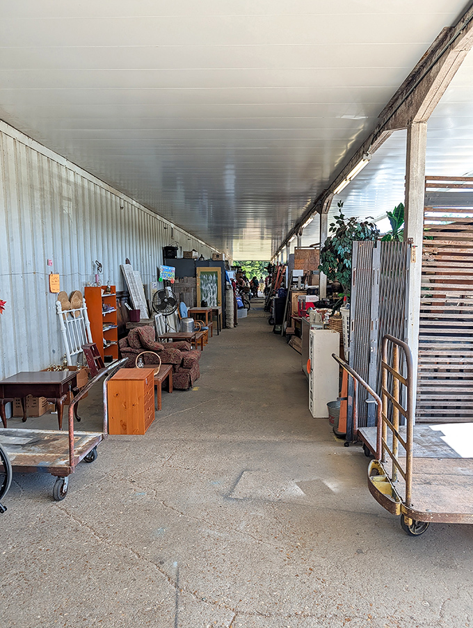 That covered walkway stretches endlessly, proving there's always more to explore when you think you've seen everything.