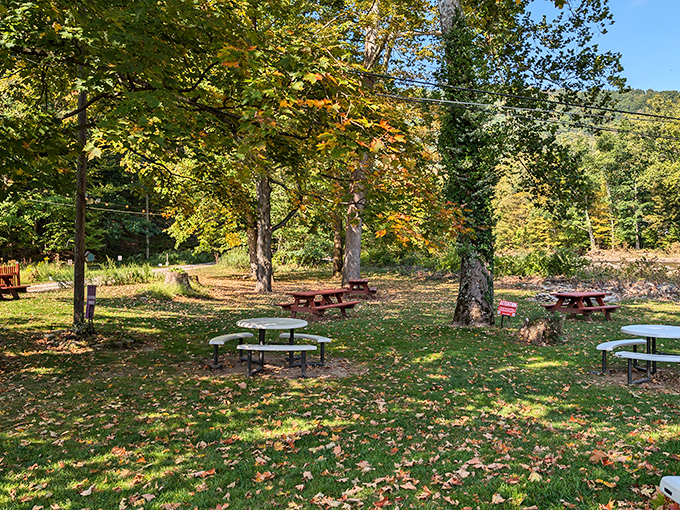 Nature's dining room: Picnic tables scattered beneath autumn-kissed trees offer a peaceful setting for digesting your mountain of sandwich goodness.