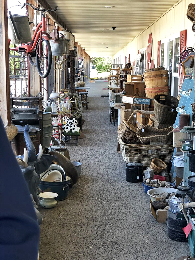 The covered porch creates a treasure-hunter's alley with vintage finds spilling outward. That red bicycle hanging overhead is pure nostalgia.