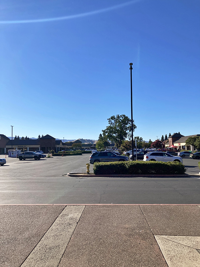 California sunshine bathes the parking lot in golden light, as if nature itself is highlighting the path to retail therapy.
