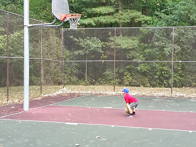 On this humble basketball court, kids imagine hitting game-winning shots while chipmunks serve as the world's smallest spectators.