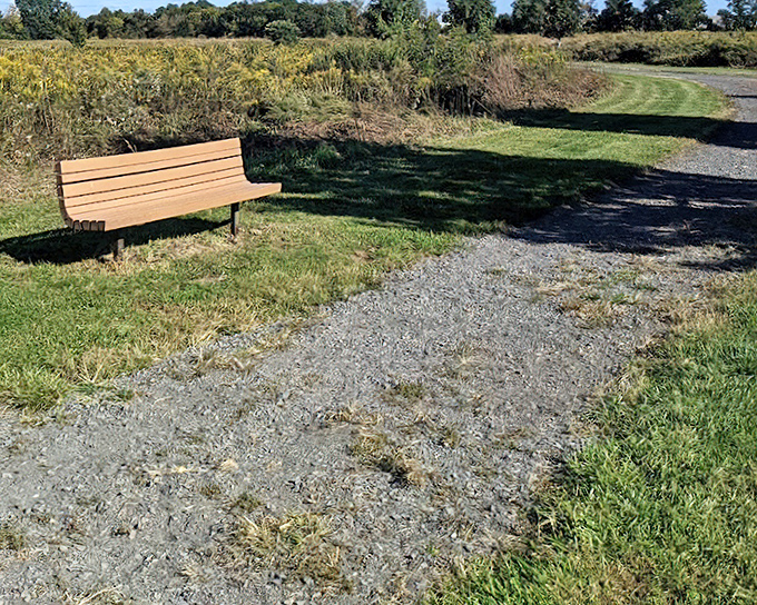 The humble park bench&mdash;nature's invitation to slow down, sit a spell, and remember that the best views don't require tickets or reservations.