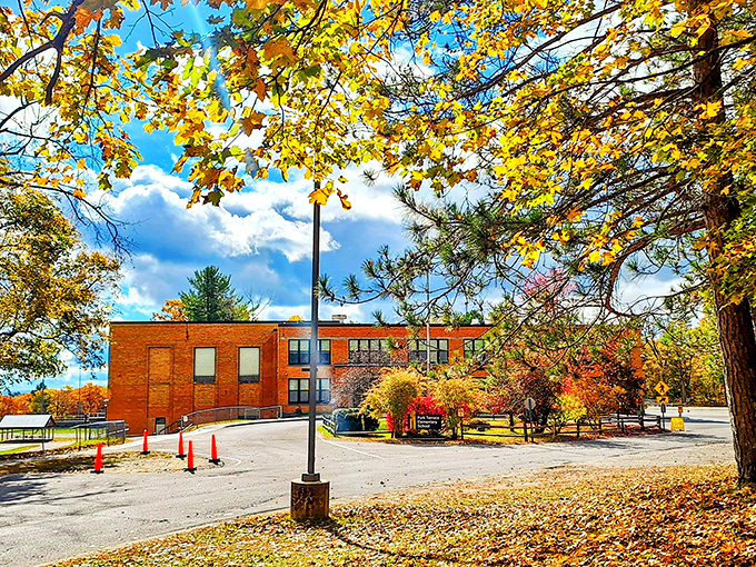 Fall paints Park Terrace School's surroundings with a palette that would make Bob Ross reach for his happy little brushes.