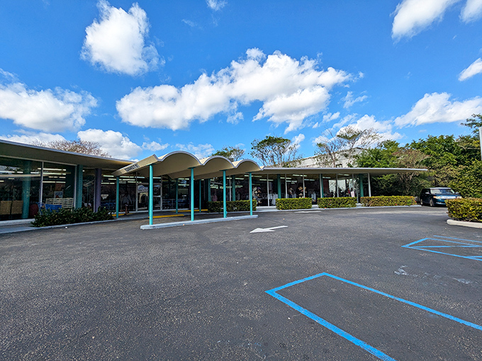 The parking lot's blue spaces await your car and the inevitable overflow of newfound treasures that won't fit in your trunk.