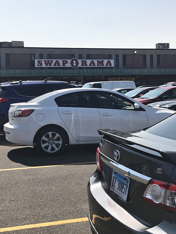 The parking lot: suburban savanna where mighty vehicles hunt for spots close to the entrance. The real adventure begins before you even get inside. 
