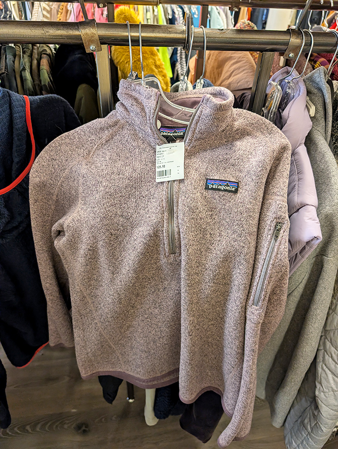 The holy grail of secondhand finds&mdash;a Patagonia fleece with plenty of adventures left in it. Previous owner's mountain views not included.