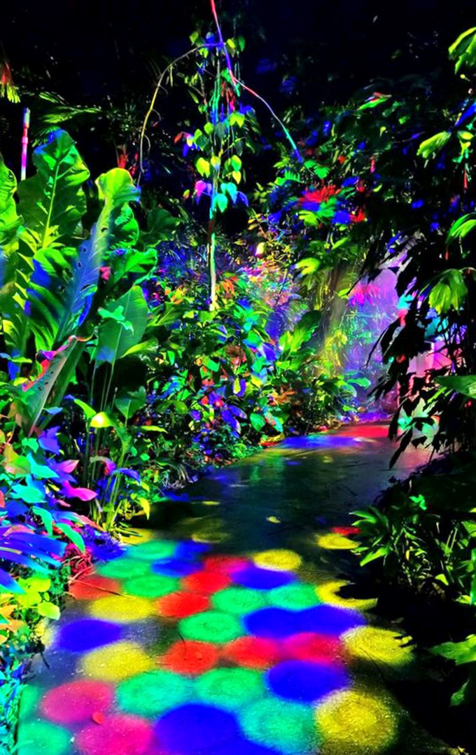 Psychedelic wonderland or botanical garden after dark? The NightGarden transforms familiar paths into trippy adventures that would make Alice's Wonderland seem mundane.