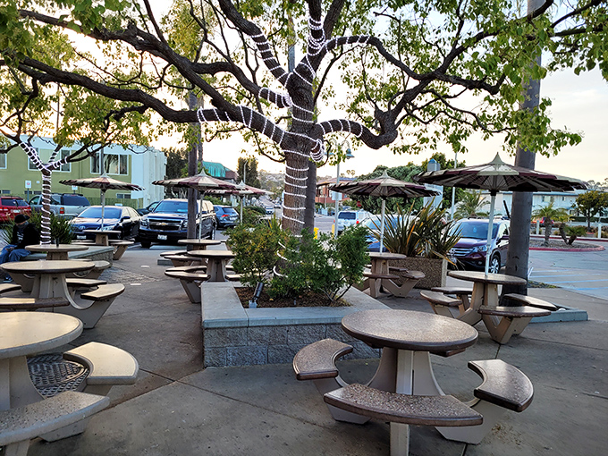 Outdoor tables arranged around trees create the perfect setting for communal seafood worship under San Diego skies.