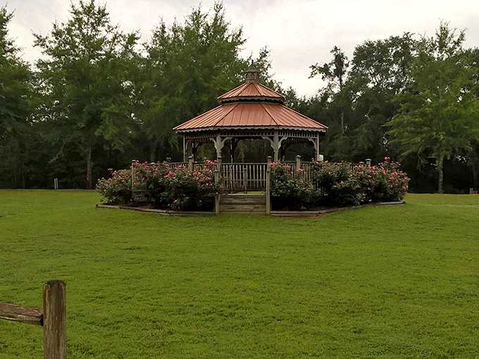 Another beautiful pavilion ready to host reunions, celebrations, or just folks seeking shade on those scorching summer afternoons.