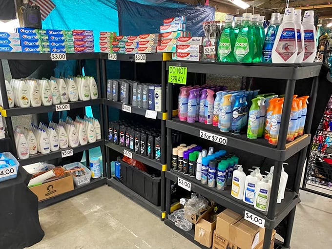 Even practical necessities get the discount treatment. Who knew shopping for soap could feel like a treasure hunt? Your bathroom cabinet is about to get very excited.