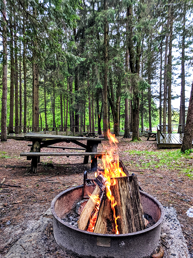Campfire dreams come true. Nothing says "I'm officially outdoorsing" like flames dancing in a fire pit with picnic tables standing by for s'mores duty.