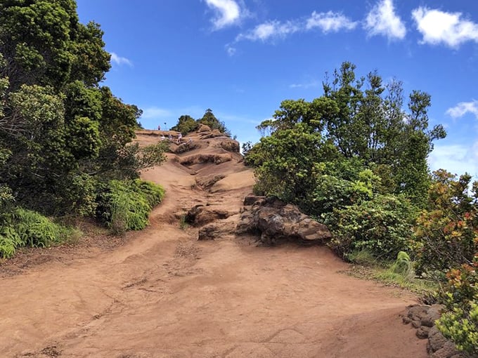 Pihea Trail: where "a little muddy" is Hawaiian for "you might want to reconsider those white sneakers you packed for this vacation."