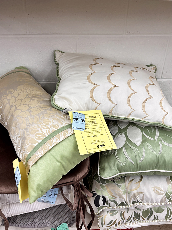 Decorative pillows bring comfort and style without the designer price tags that usually require selling a kidney first.