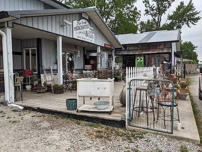 Fall's paintbrush transforms this apple orchard into rows of possibility, where the best apples are always just slightly out of reach.