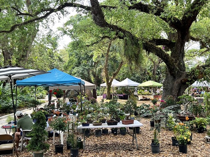 Garden treasures for sale! The plant market offers the chance to bring home a piece of botanical paradise&mdash;green thumb not necessarily required.
