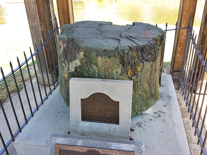 This preserved tree stump marks the spot where the "first tree west of the Alleghenies" was felled&mdash;a literal slice of Tennessee history.