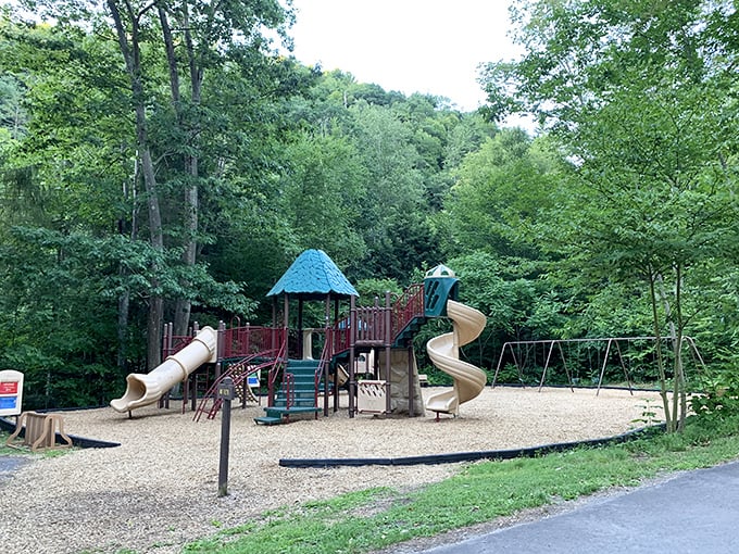 Wilderness fun for the junior explorers. Even in this natural paradise, sometimes kids just need to slide down something that isn't a moss-covered rock. 