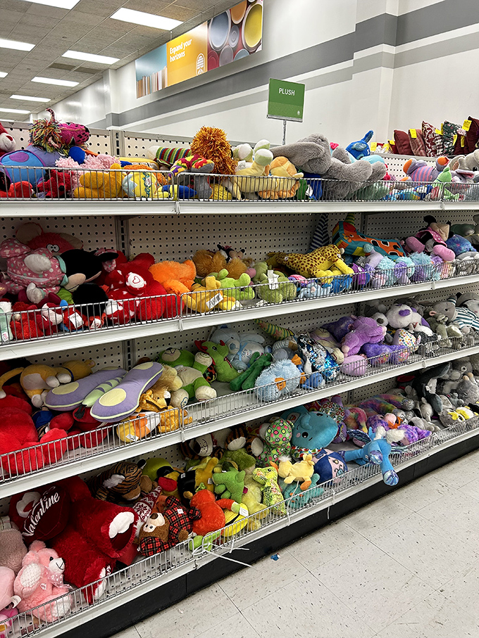 The stuffed animal section looks like a zoo had a slumber party. These huggable friends wait patiently for children to rescue them from their shelf safari