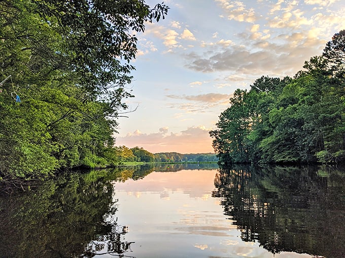 The Pocomoke River at sunset performs nature's most spectacular magic trick&mdash;turning ordinary water into liquid gold while no one's looking.