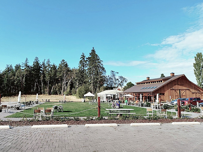 Outdoor seating at Port Townsend Vineyards proves that wine country charm exists even at the edge of the Salish Sea.