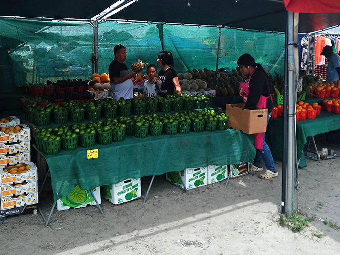Fresh produce piled high under green shade&mdash;vegetables so fresh they're practically still introducing themselves to each other.
