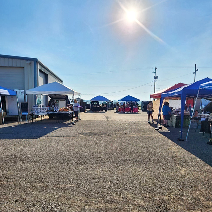 The public market buzzes with vendors offering everything from tomatoes to treasures under cheerful blue tents.