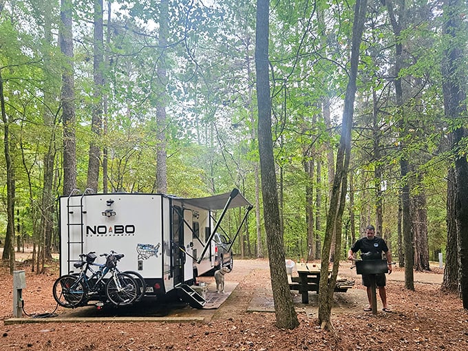 Modern nomads bringing comfort to the wilderness. This campsite proves you can have both adventure and air conditioning in the same Mississippi minute.