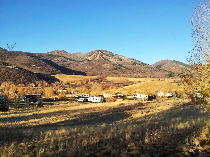 RV camping with front-row seats to autumn's greatest show &ndash; when nature becomes your personal entertainment system.