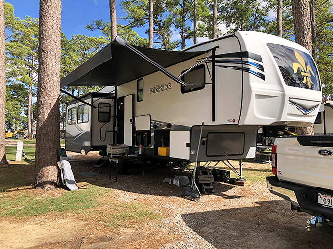 RV camping in Eunice means tall pines, peaceful surroundings, and the freedom to explore Cajun country at your own pace.